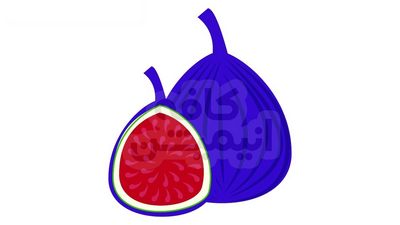 وکتور انجیر موهو - کافه انیمیشن